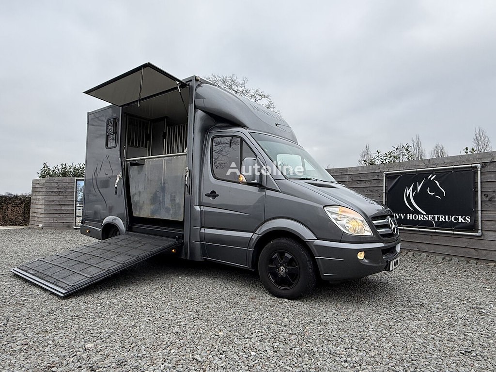 Mercedes-Benz Sprinter PAARDENWAGEN | HORSETRUCK | TVW | STALLION 3XL vozilo za prevoz konja