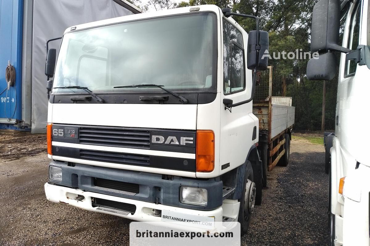 DAF 65 210 ATI | Euro 2 | 19 Ton | On Springs | HIAB Crane kamion s ravnom platformom