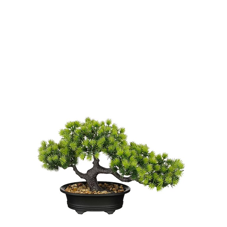 BONSAI 33/13/21 cm