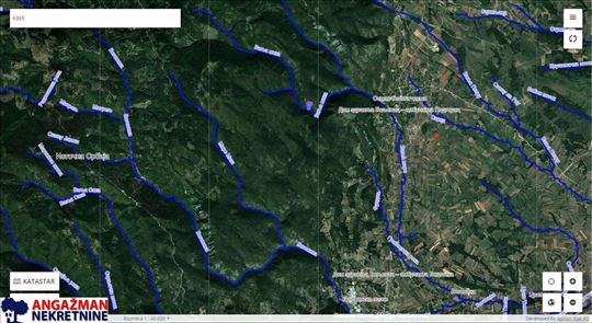 Boljevac, Rtanj - Podgorac 10ha 77ari 17kvm