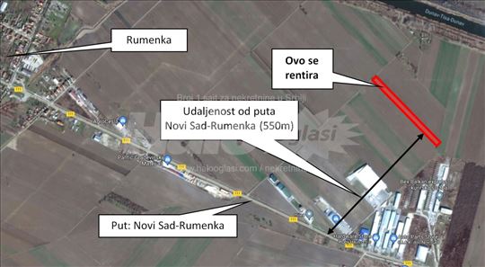 Izdajem voćnjak lešnika u punom rodu(2 jutra)