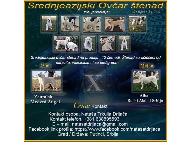 Srednjeazijski ovčar