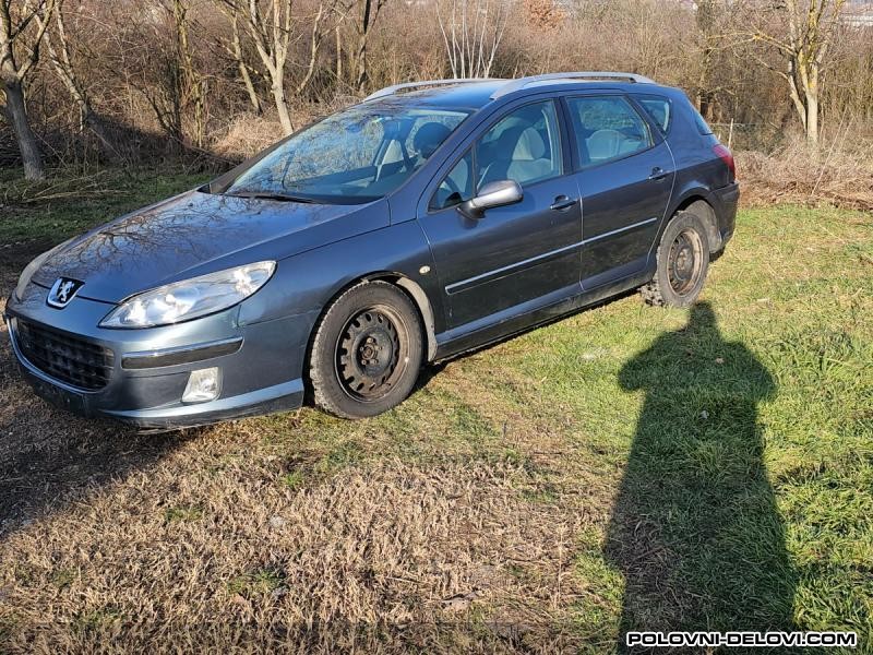 Peugeot 407 Rashladni Sistem