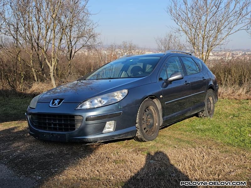 Peugeot 407 Stakla