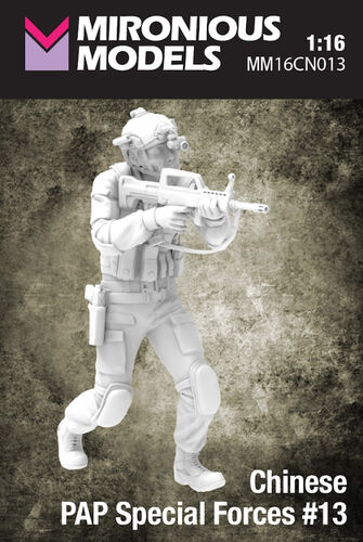 NEW! Mironious Models 16CN013 Chinese PAP Special Forces No.13 (1 Figure)
