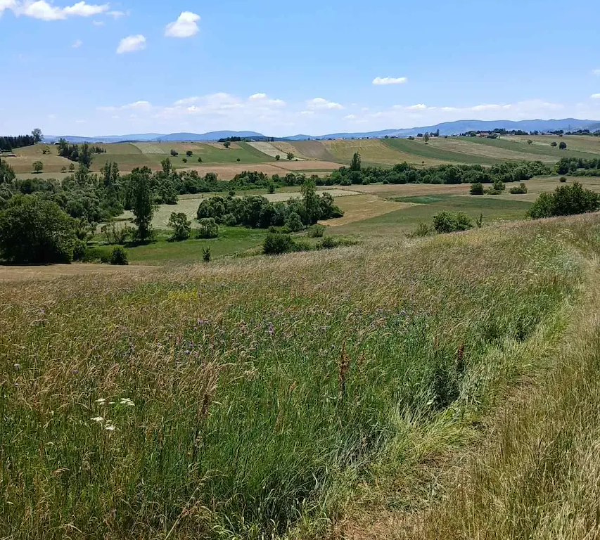 Prodaja, plac, 150m², Novi Pazar, Srbija