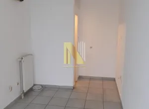 Izdavanje Lokal - Novi Sad, Detelinara: Stara Detelinara - Nova Detelinara