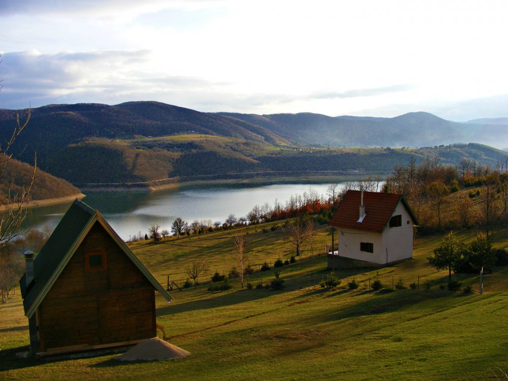 Vile Luka I Katarina Na Zlatarskom Jezeru