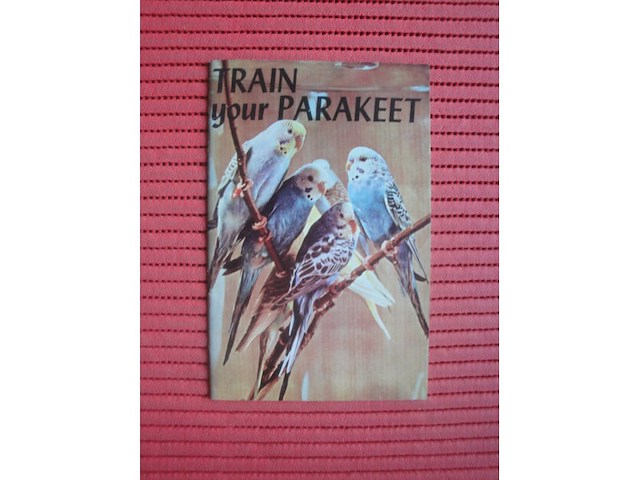 Train your parakeet
