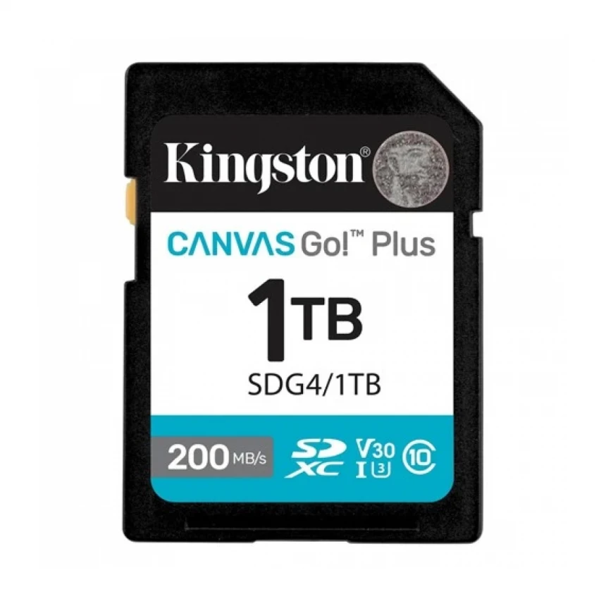 SD Card 1TB Kingston SDG4/1TB class 10 200Mbs/160MBs