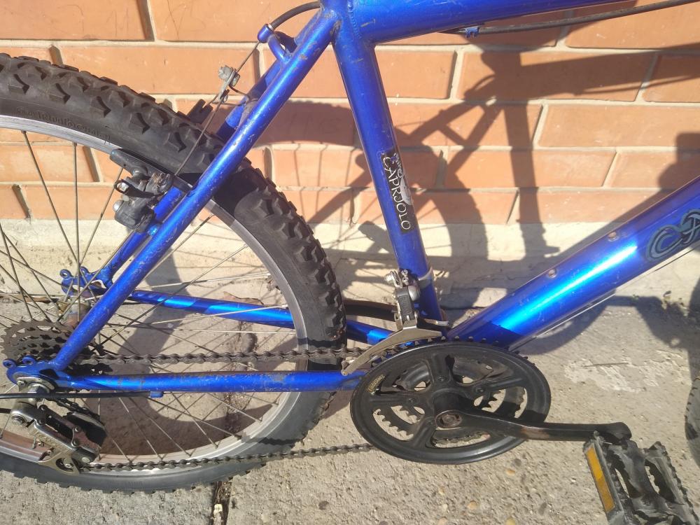 MTB 24" Capriolo Panter 18 brzina
