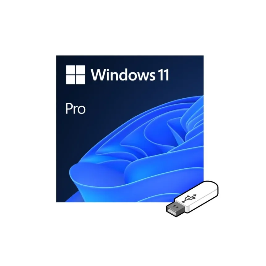 Software Microsoft Windows 11 Pro FPP 64-bit (HAV-00162) Eng USB