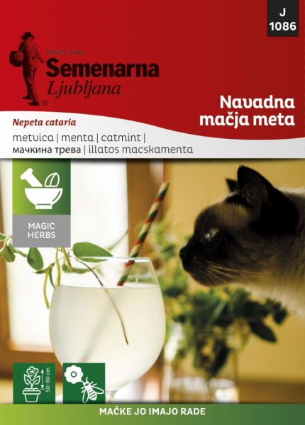 Seme - Mačija trava - Nepeta cataria 1086
