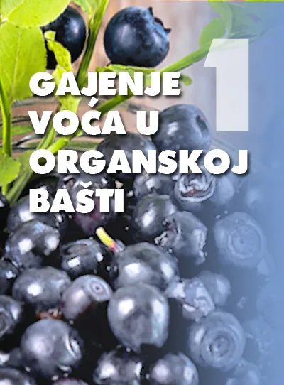 ŠKOLA SREDNJI NIVO: Gajenje voća u organskoj bašti 1-2