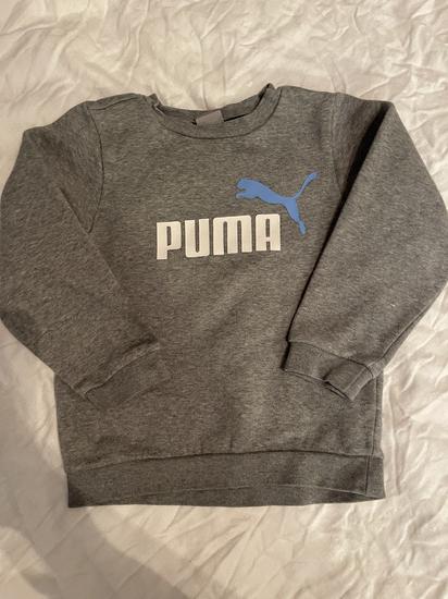 Original duks Puma