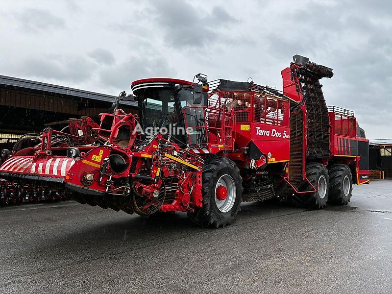 Holmer Terra Dos TD5-40 HD kombajn za repu
