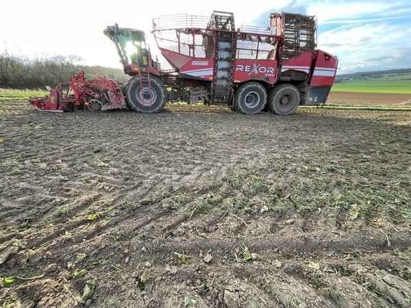 Grimme REXOR 6300 kombajn za repu