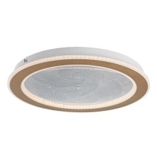 RABALUX Efrael 71281 LED plafonjera