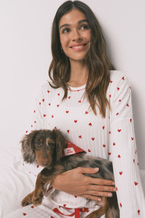 Rotes Hunde-Bandana mit Herzen