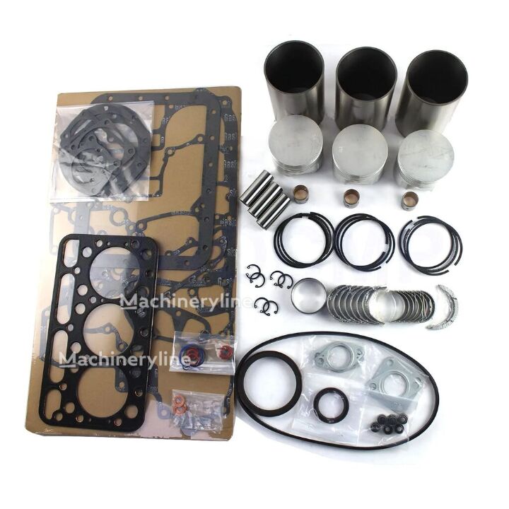 Holset Motor pentru komplet za popravku za Bobcat 643 – Kit Complet de Reparație Motor građevinske mašine