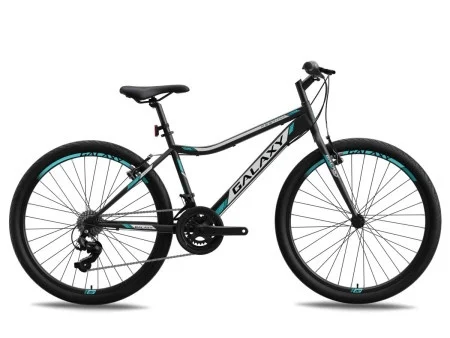 Galaxy Bicikl galaxy festina 26"/18 crna/siva/sv.plava mat ( 650212 )