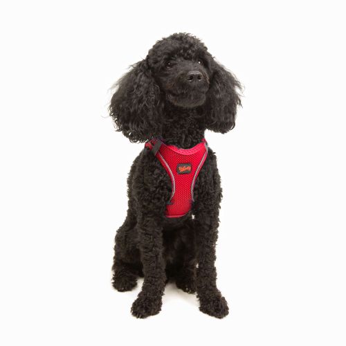 Air-Mesh - Harness za pse Garnet