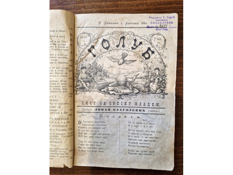 GOLUB 1880 DRUGA GODINA