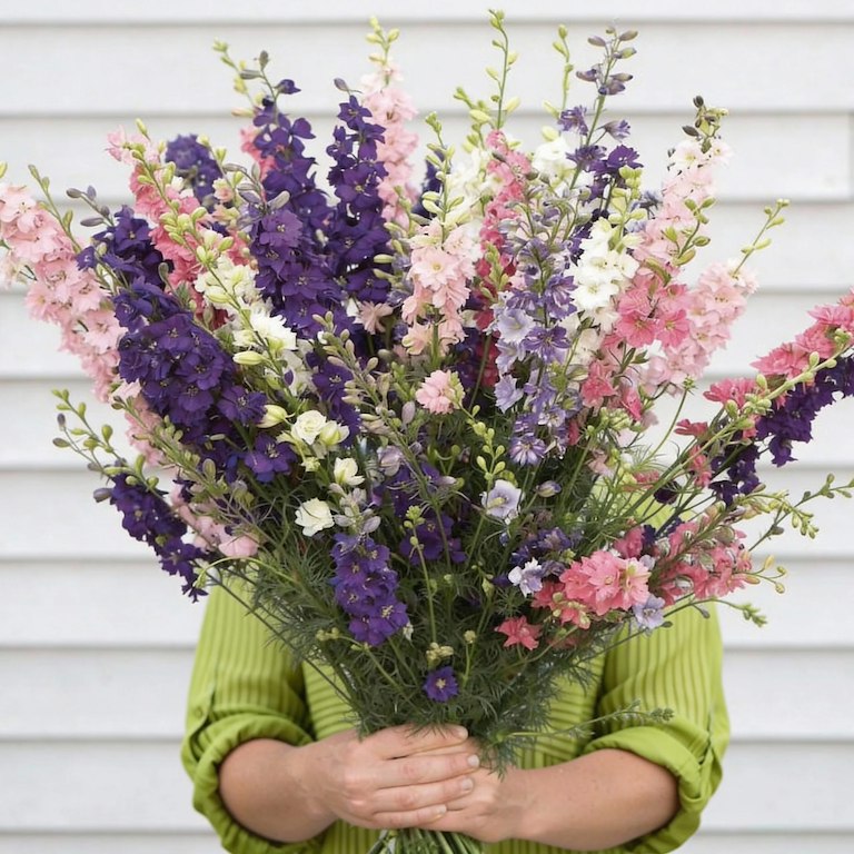 Žavornjak visoki miks