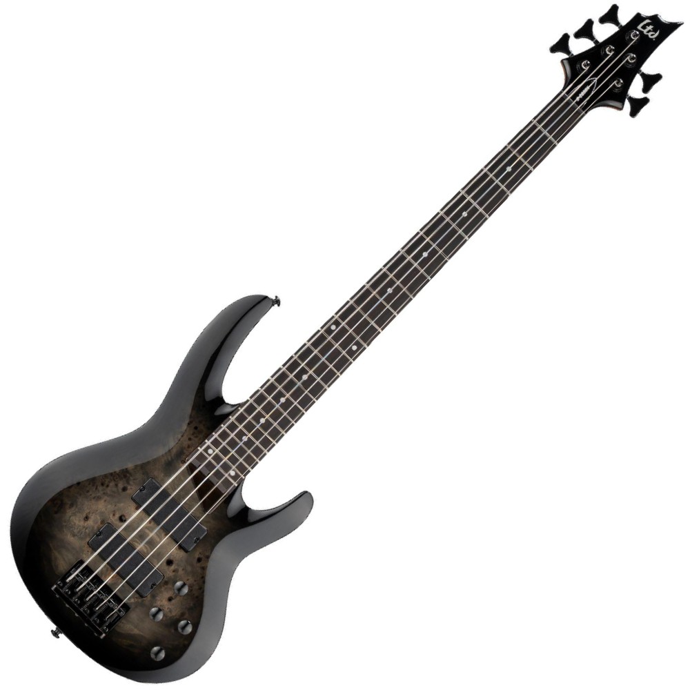 LTD B-205DX Black Burst