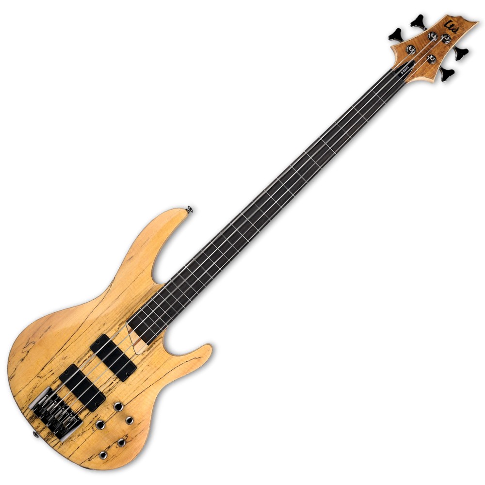 LTD B-204SM FL FRETLESS