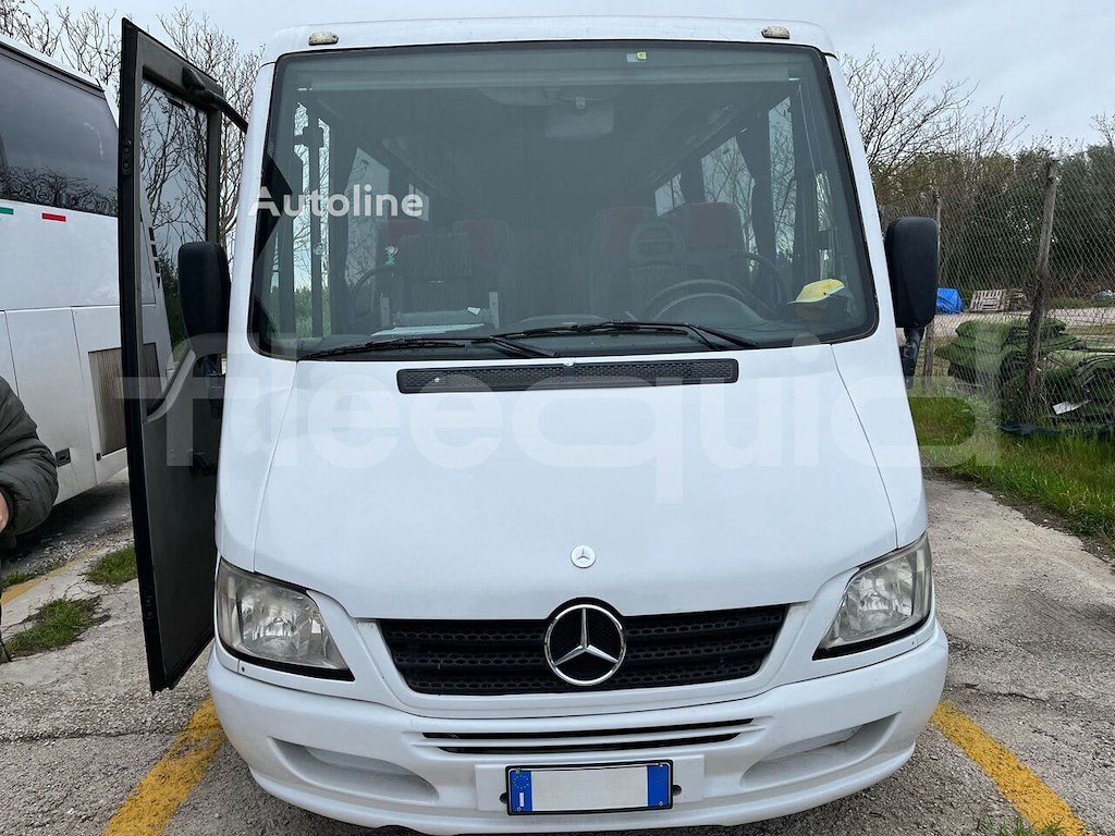 Mercedes-Benz Sprinter putnički minibus