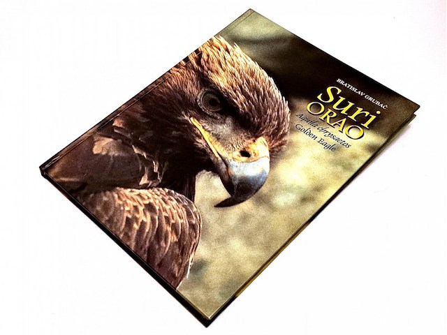 Suri orao (Aquila chrysaetos) / Bratislav Grubač