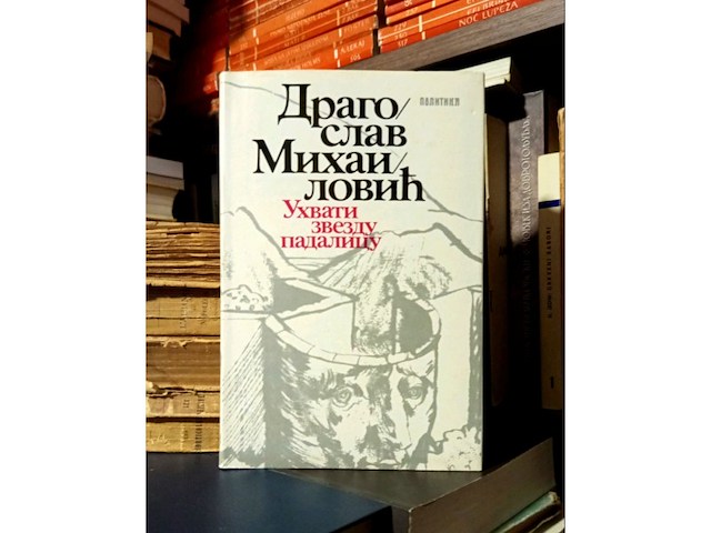 Dragoslav Mihailović – Uhvati zvezdu padalicu