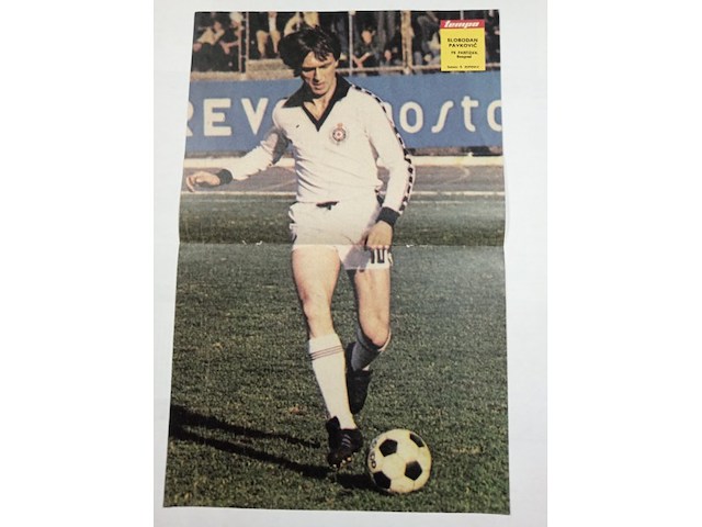 SLOBODAN PAVKOVIĆ fk Partizan