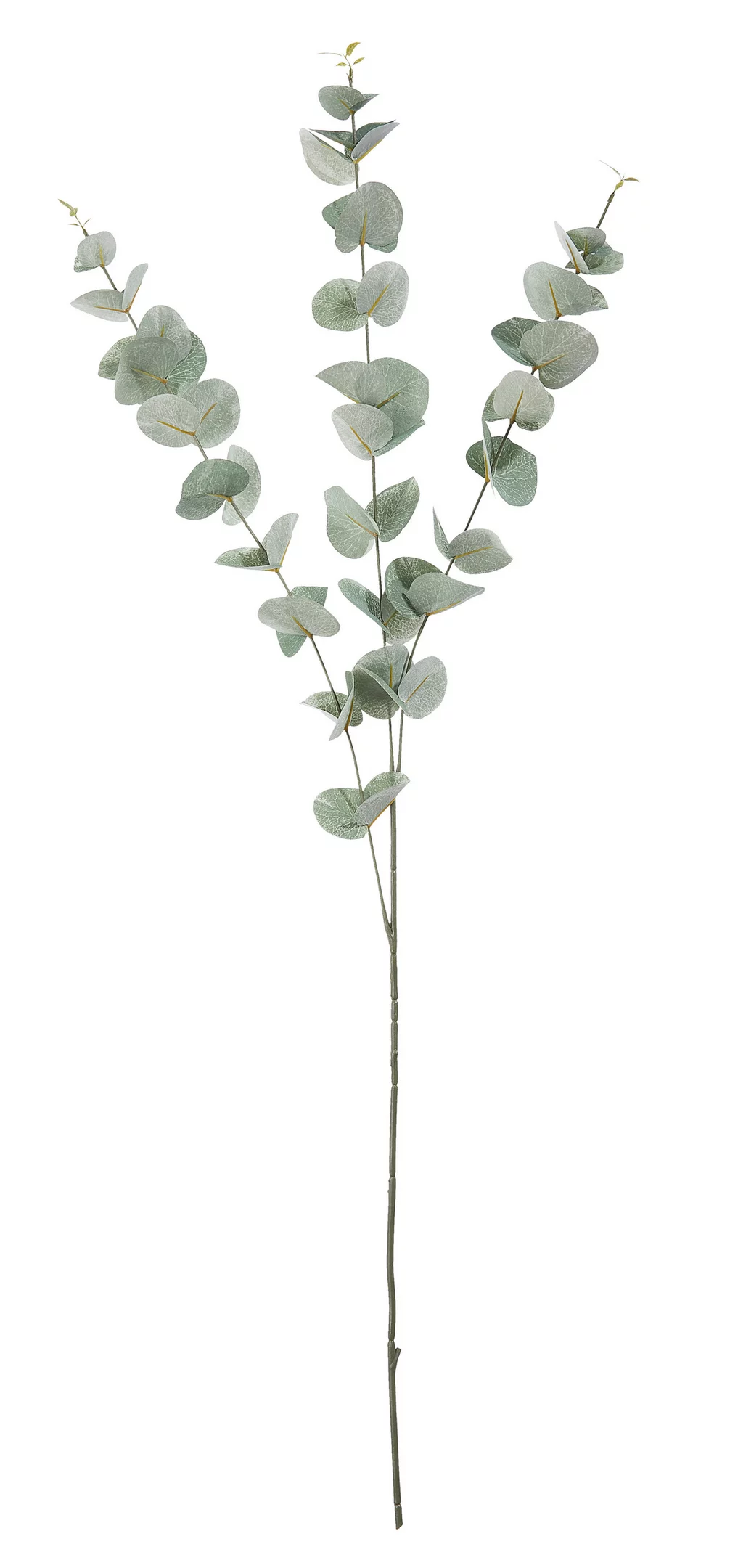 VEŠTAČKA BILJKA Eucalyptus 100 cm