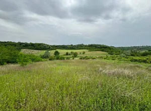 Prodaja Građevinsko zemljište - Inđija