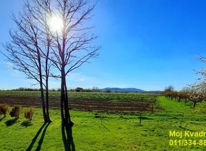 Prodaja Građevinsko zemljište - Beograd, Mladenovac: Koraćica - Amerić - Vlaška