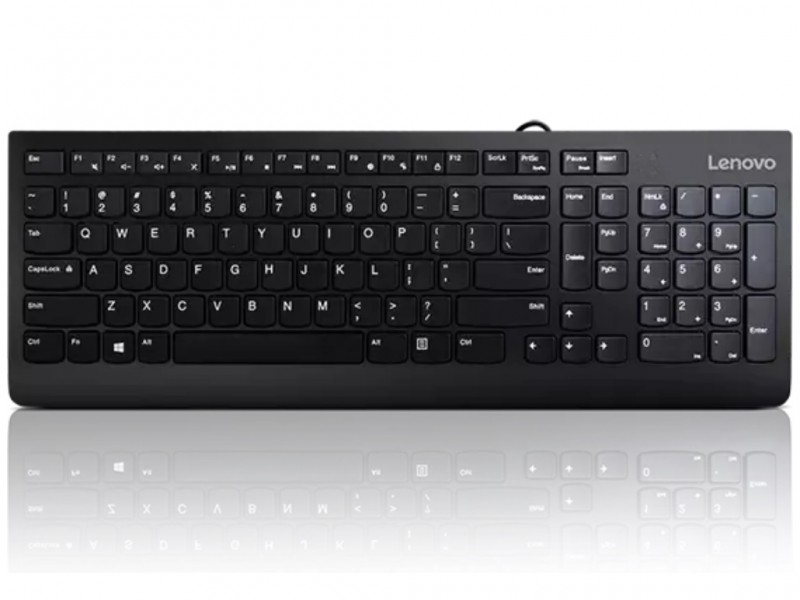 Tastatura LENOVO 300 USB/US/103P/crna (GX30M39655)