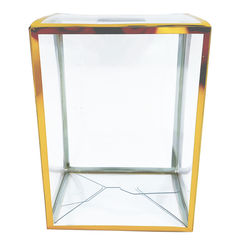 CLEAR GOLD VERSION 4'' POP PROTECTOR WITH FILM ON IT WITH SOFT CREASE LINE AND AUTOMATIC BOT LOCK