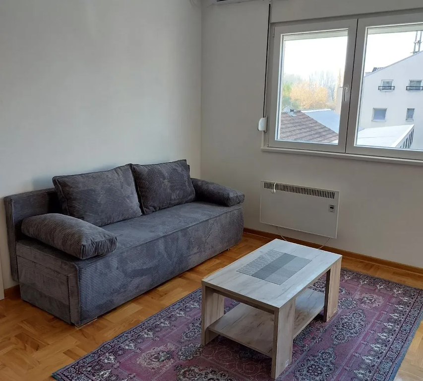 Izdavanje, dvosoban stan, 42m², Palilula Sve Podlokacije, Beograd