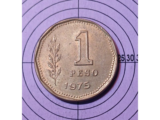 Argentina 1 peso 1975g km69