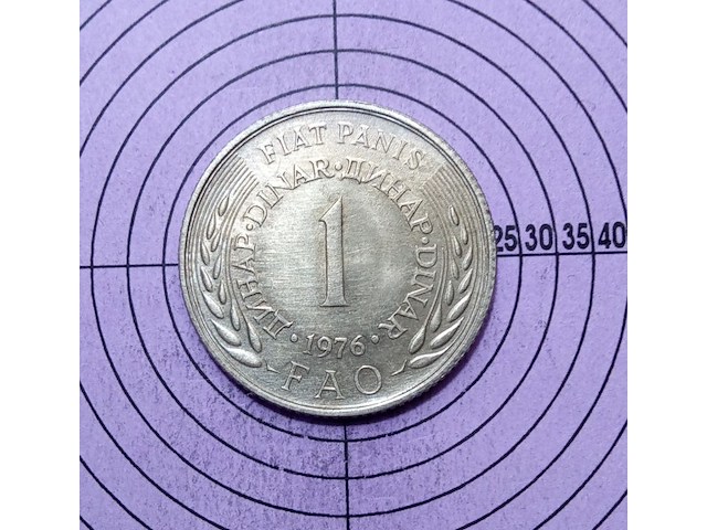 Jugoslavija 1 dinar 1976 FAO km61 jubilarna