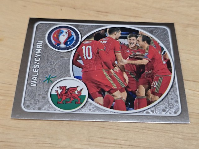 Sličica broj 125 Euro 2016 Panini tim Rusije