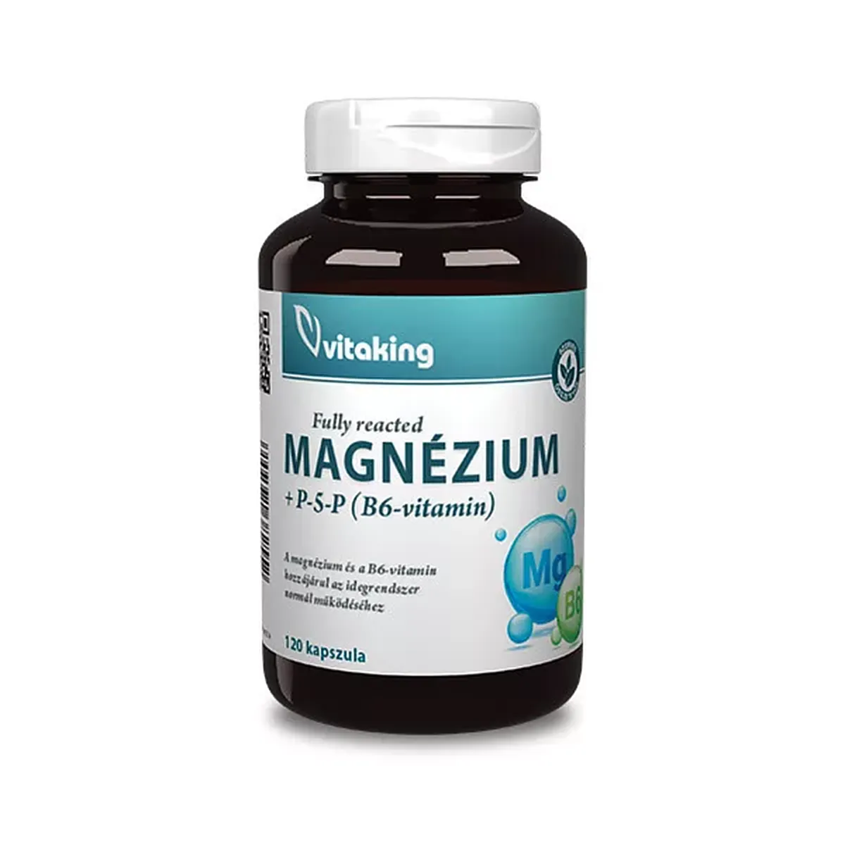 Magnesium Bisglycinate + Vitamin B6 (P5P) (120 kap.)