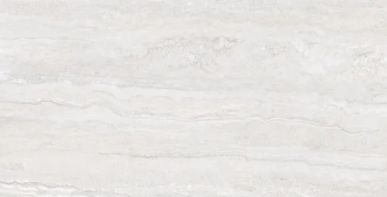 Pantheon Evolution Album Veincut Mate 60X120