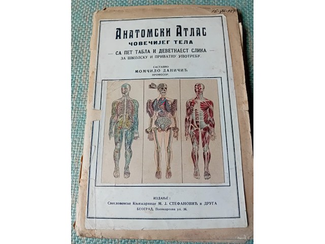 Momčilo Daničić Anatomski atlas čovečijeg tela