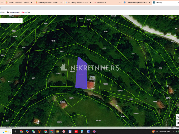 Prodajem plac na Staroj Planini/Crni vrh (Golema reka)