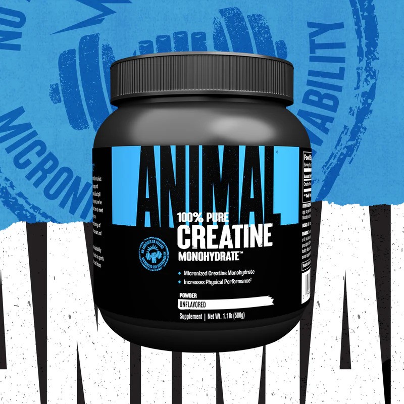 Animal Creatine