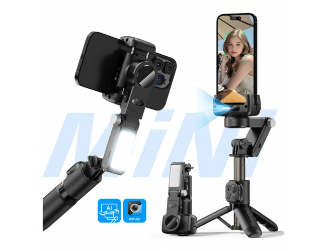 Red Q19 Tripod stabilizator sa selfie stikom i LED svetlom crni