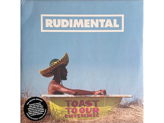 RUDIMENTAL - TOAST TO OUR DIFFERENCES